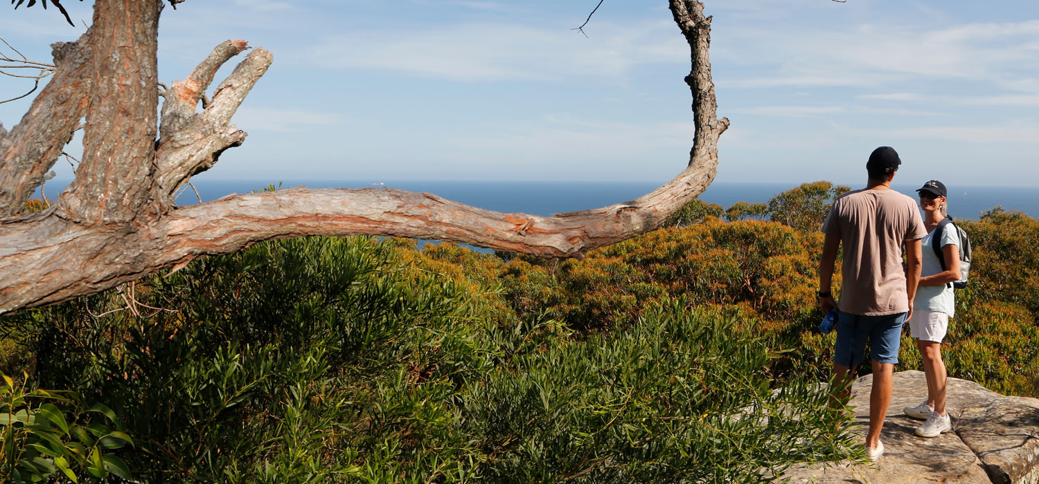 Guided Walks - Pretty Beach House